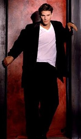 The Kat's Tribute to David Boreanaz