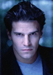 The Kat's Tribute to David Boreanaz