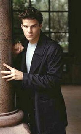 The Kat's Tribute to David Boreanaz