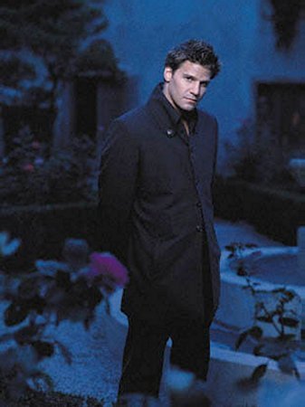 The Kat's Tribute to David Boreanaz