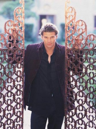 The Kat's Tribute to David Boreanaz