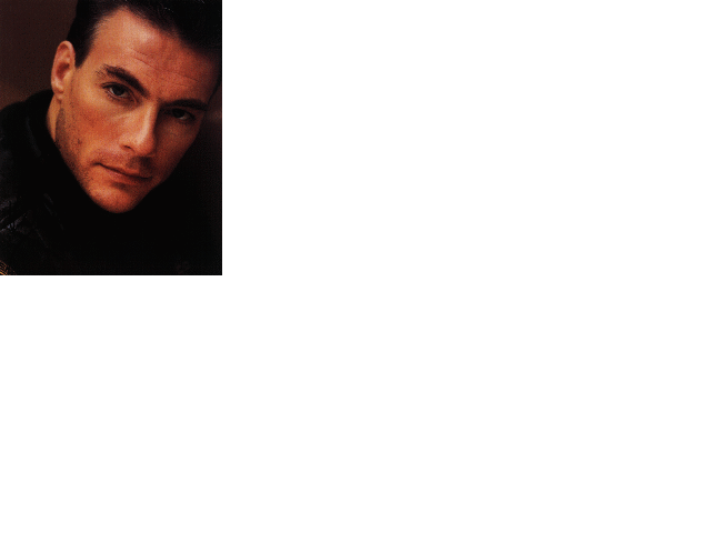 The Kat's Tribute to Jean-Claude Van Damme