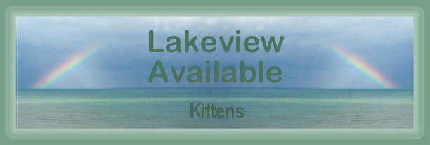 lakeview Cats - Himalayans/Persians - NY, USA