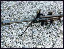 RT-20 anti material rifle