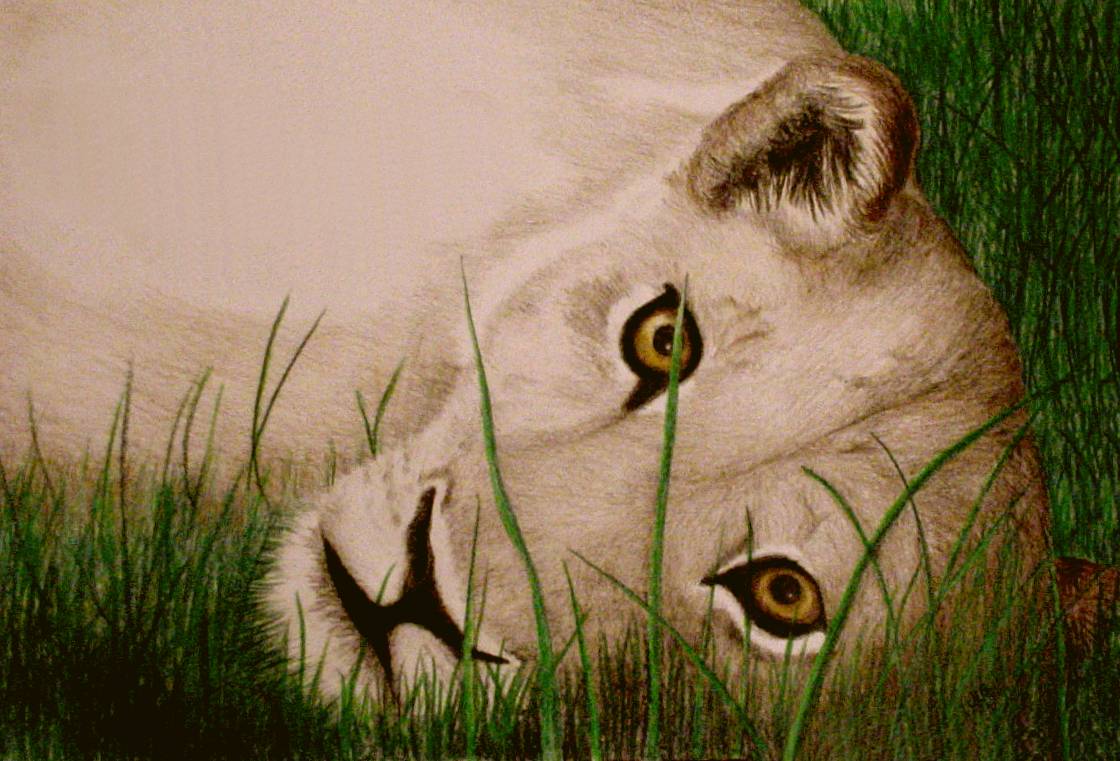 pencildrawings.page