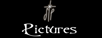 The Last Divine - Pictures