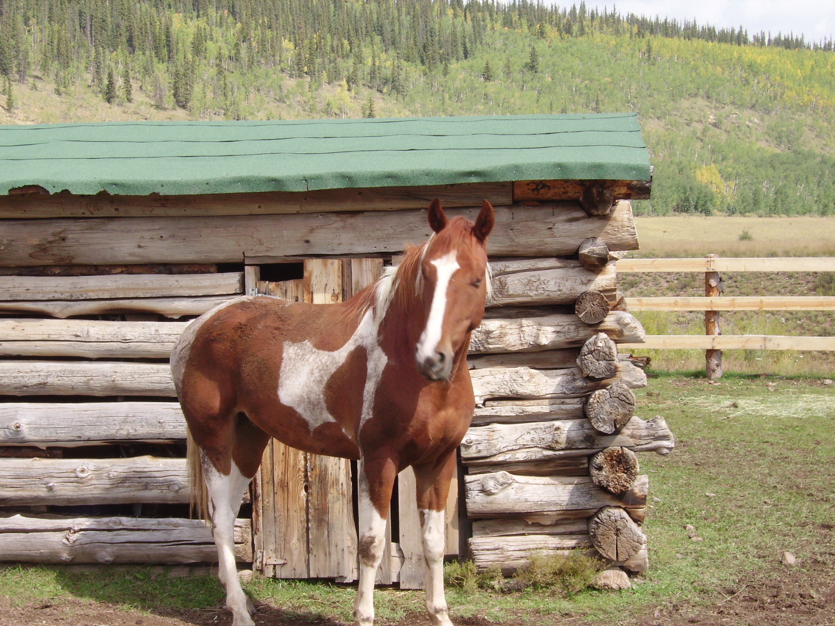 The Lazy Coyote Ranch Photo Page
