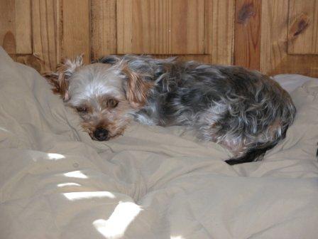The Lazy Coyote Ranch Photo Page