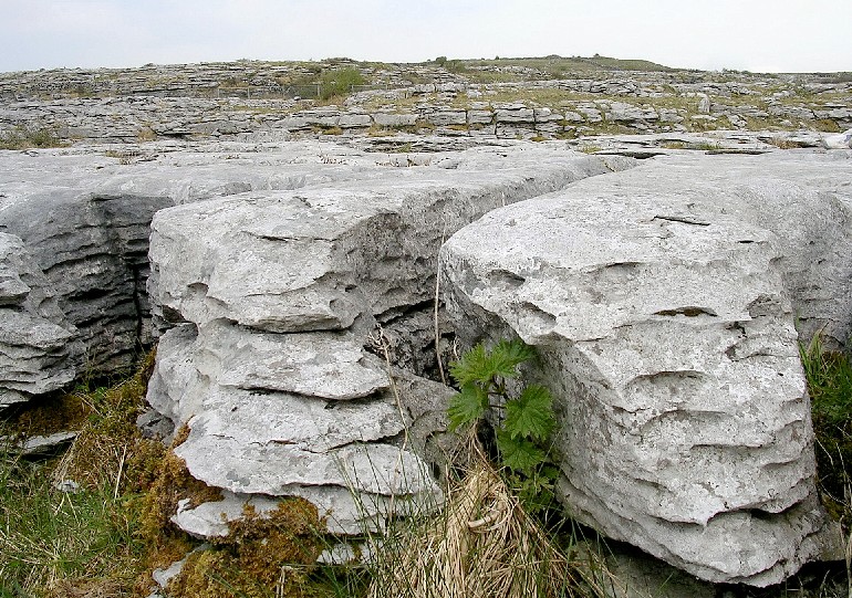 Burren_page