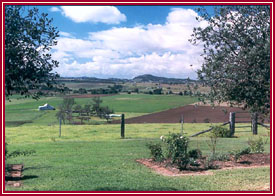 Leconfield House Bed & Breakfast - History