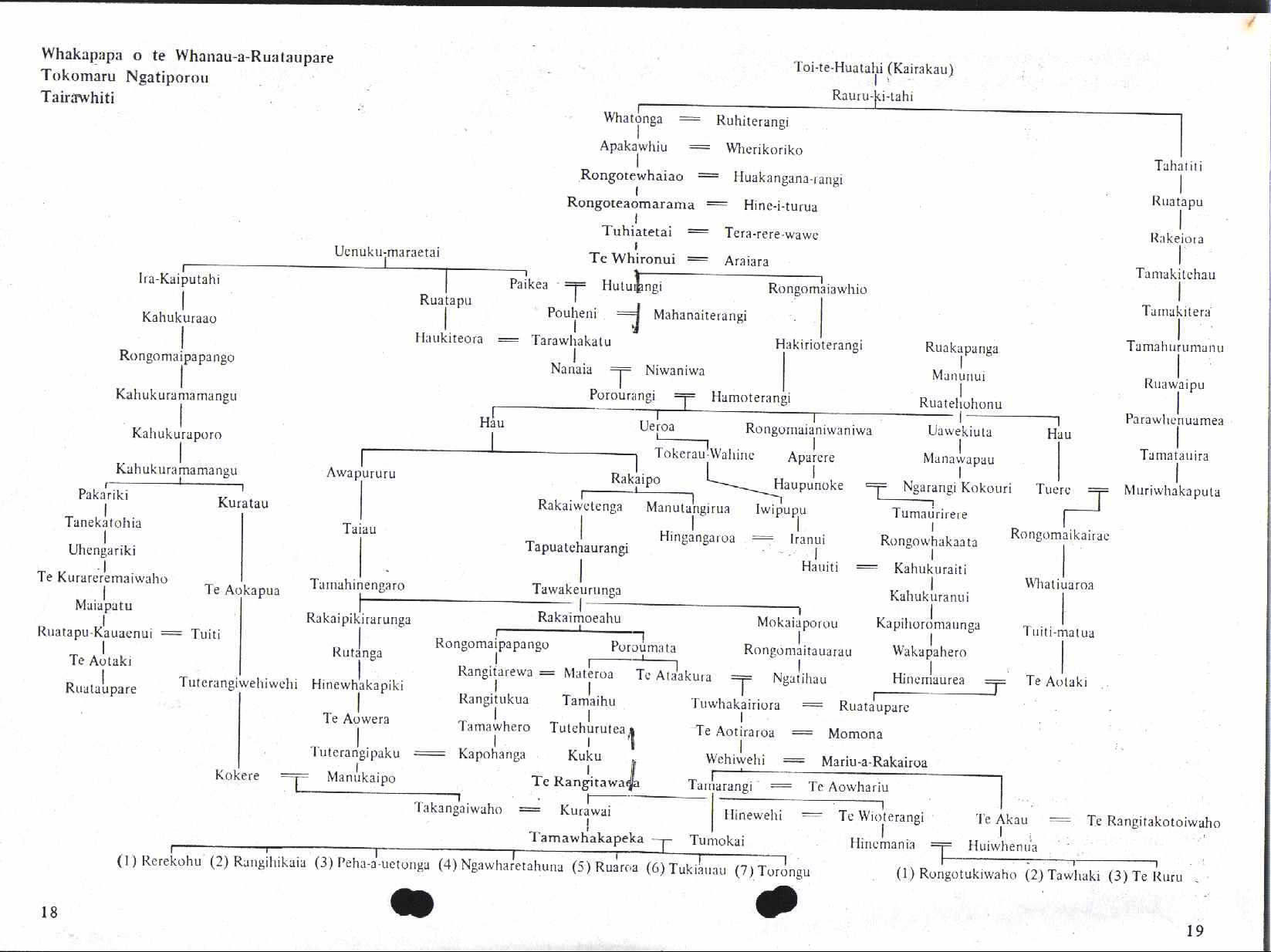 Ngati Porou Whakapapa