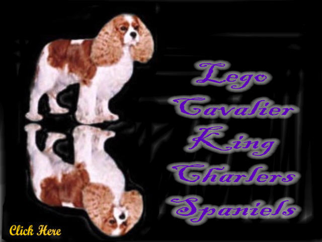 lego,cavaliers king charles by lego,king charles cavalierlego,cavaliers ...