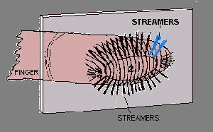 ON CONTACT ELECTROPHOTOGRAPHY