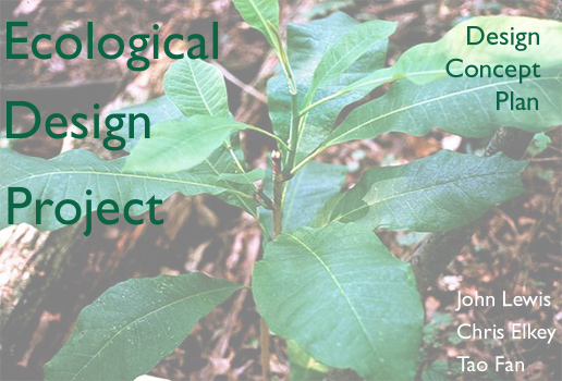 John Lewis - Ecological Design: Concept Plan