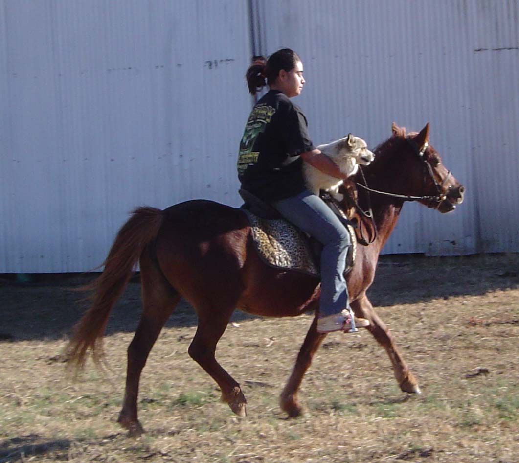 Excel's Rockin Robin