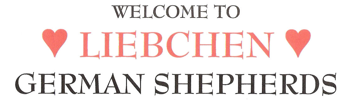 index [www.geocities.ws]