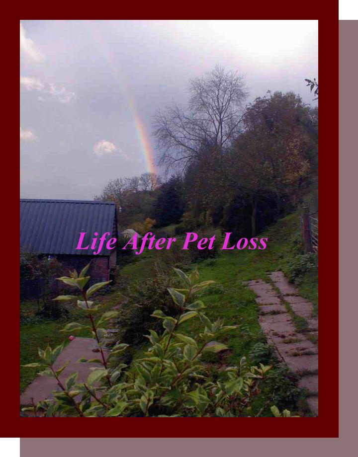 Life After Pet Loss