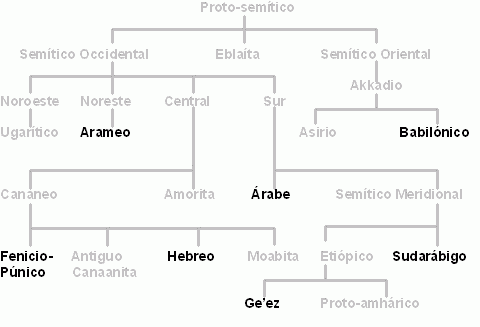 Semitic Languages