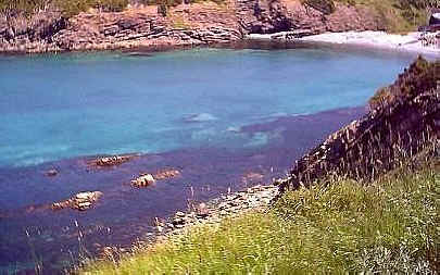 Town of Logy Bay - Middle Cove - Outer Cove