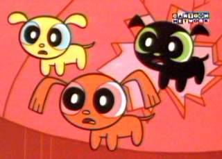 *PPG Group Pictures*