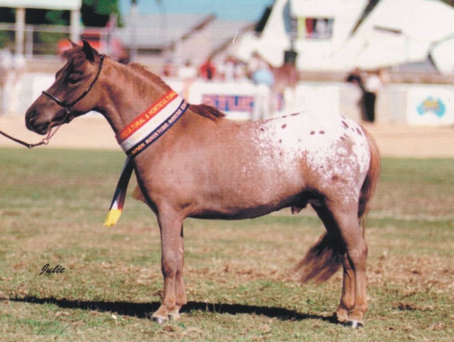 index [www.geocities.ws]