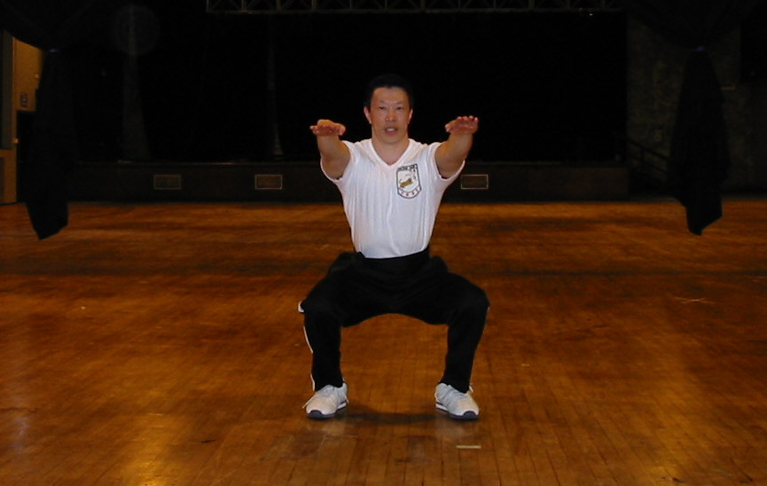 THE SEVEN STANCES OF HUNG GAR