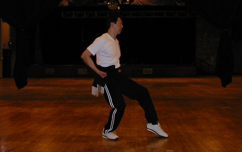 THE SEVEN STANCES OF HUNG GAR