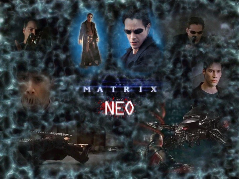 Welcome to the official website of Lobo's