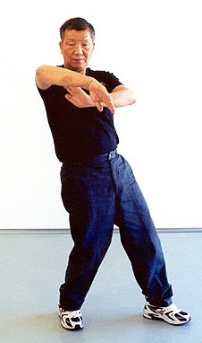 Grand Master Ip Ching