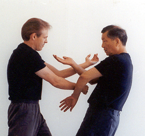 Grand Master Ip Ching