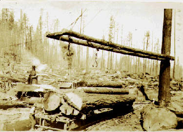 Logging Camps