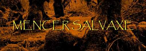 MENCER SALVAXE - Anticivilizacion A Coruña - Autogestión, naturismo ...