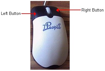 Learning the Computer - Beginning - Practice Using the Mouse