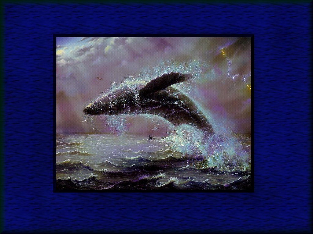Pictures Page