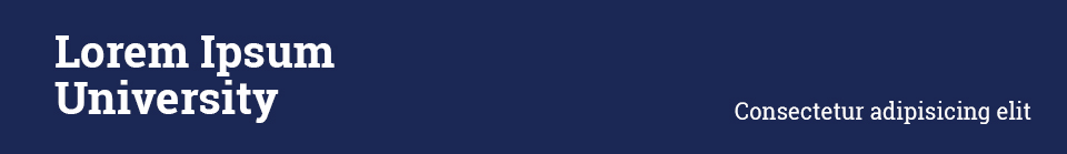 Lorem Ipsum University