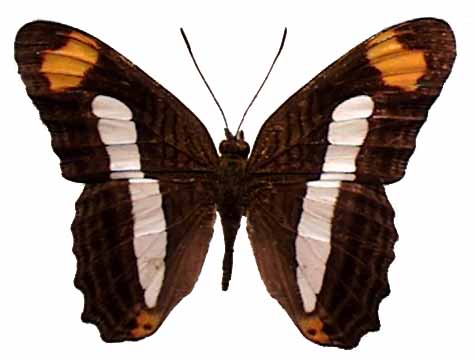 Untitled Document [www.geocities.ws]