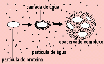 LUMINI - HISTÓRIA - Origem da Vida (Biogênese)