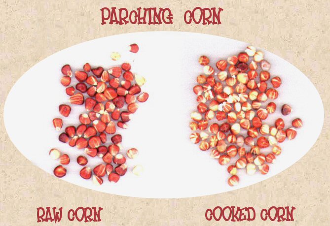 "Parched Corn" - growing and making