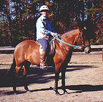 Gracewood Farm Paso Fino Horses -- Gaited Horsemanship Lessons