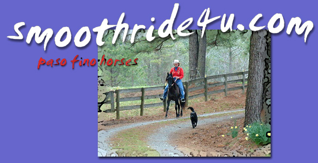 Gracewood Farm Paso Fino Horses -- The Smoothest Pleasure Ride For All Ages