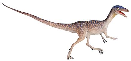 COMPSOGNATHUS