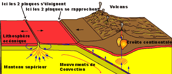 Résumé chapitre 3-4