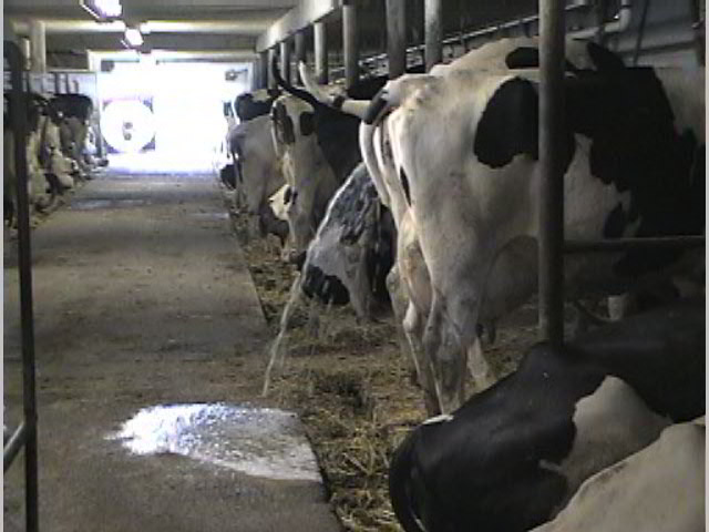 New Page 1 [www.geocities.ws]