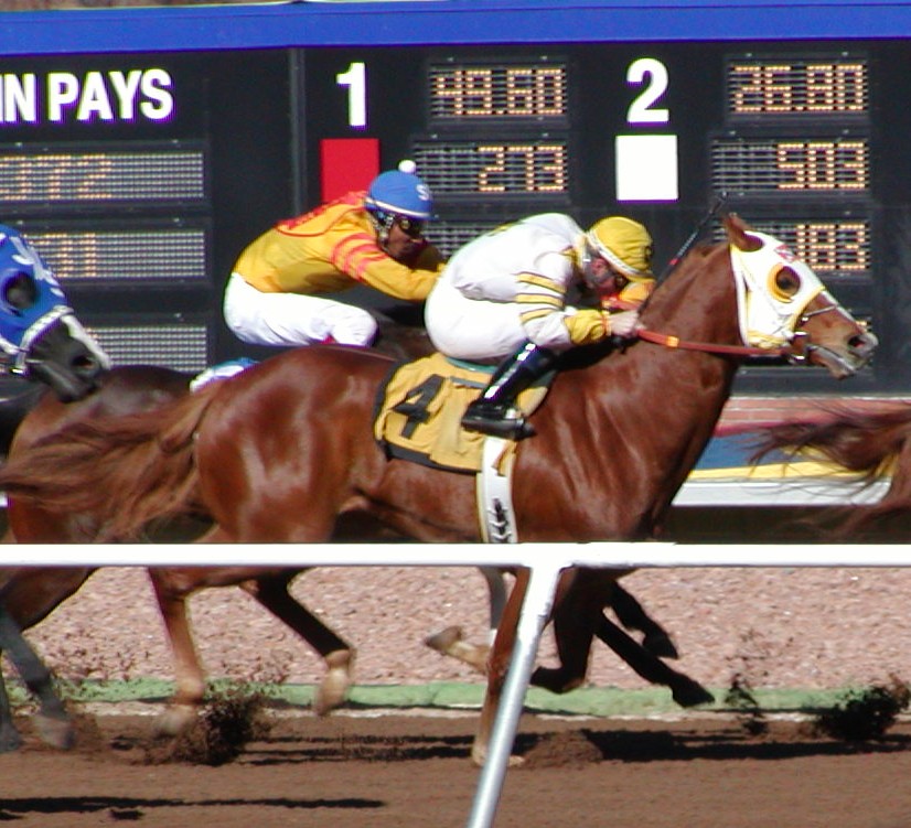 A Statistical Approach to Betting the Horse Races