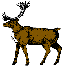 Prophet River Provincial Park, Northern British Columbia, Canada