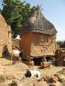 Mali Tours and Travel Guide Services: Aly Guindo