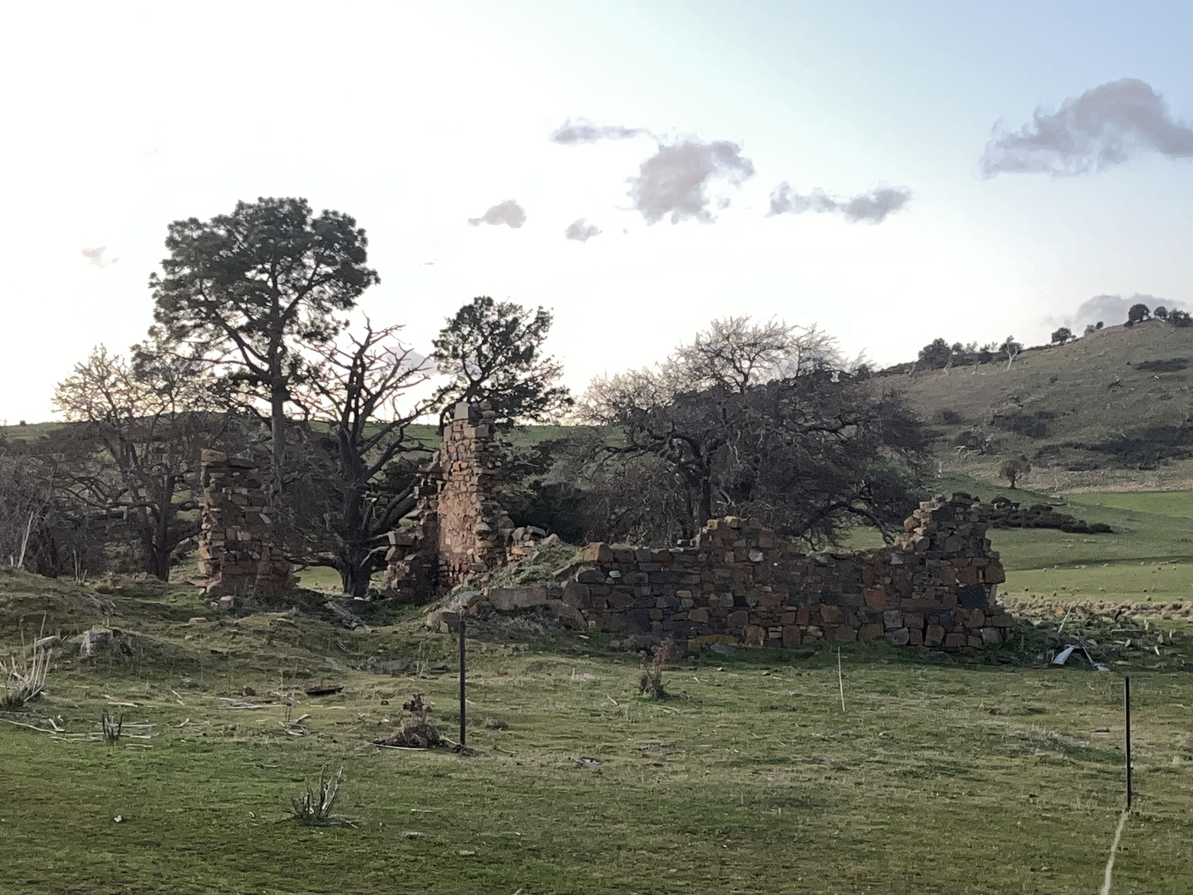 Colin Mallett's Family Tree Site