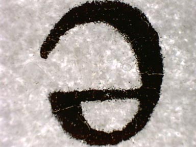 Letter-e-under-microscope shapoli