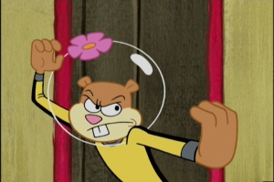 Sandy Cheeks Karate Island
