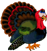 Turkey: index page (Marc Dyer & Karen Cooper)